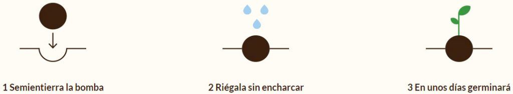 ≫ Bombas de Semillas ️ Biodiversidad ¡Perfecto para Regalo!
