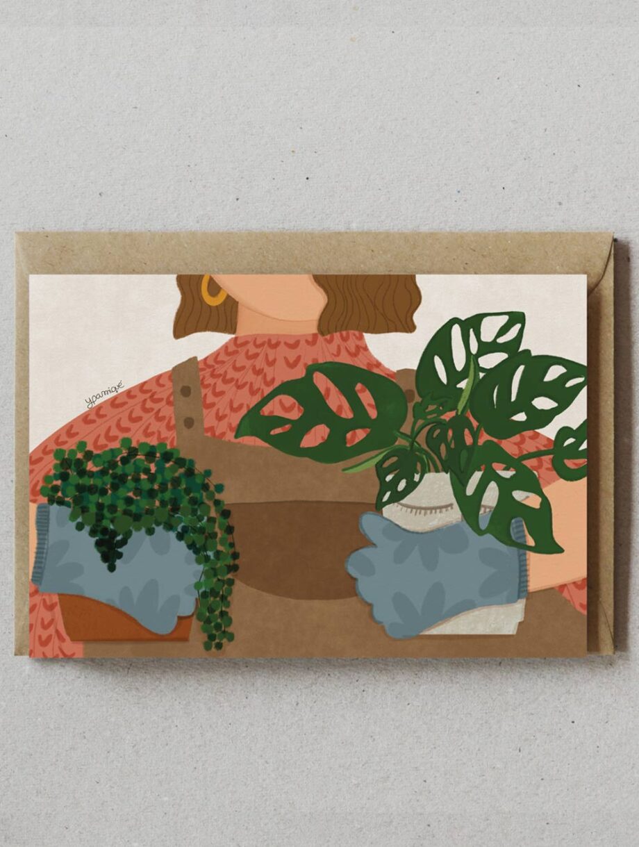 Pack de tarjetas ilustradas Plantas | Fieito